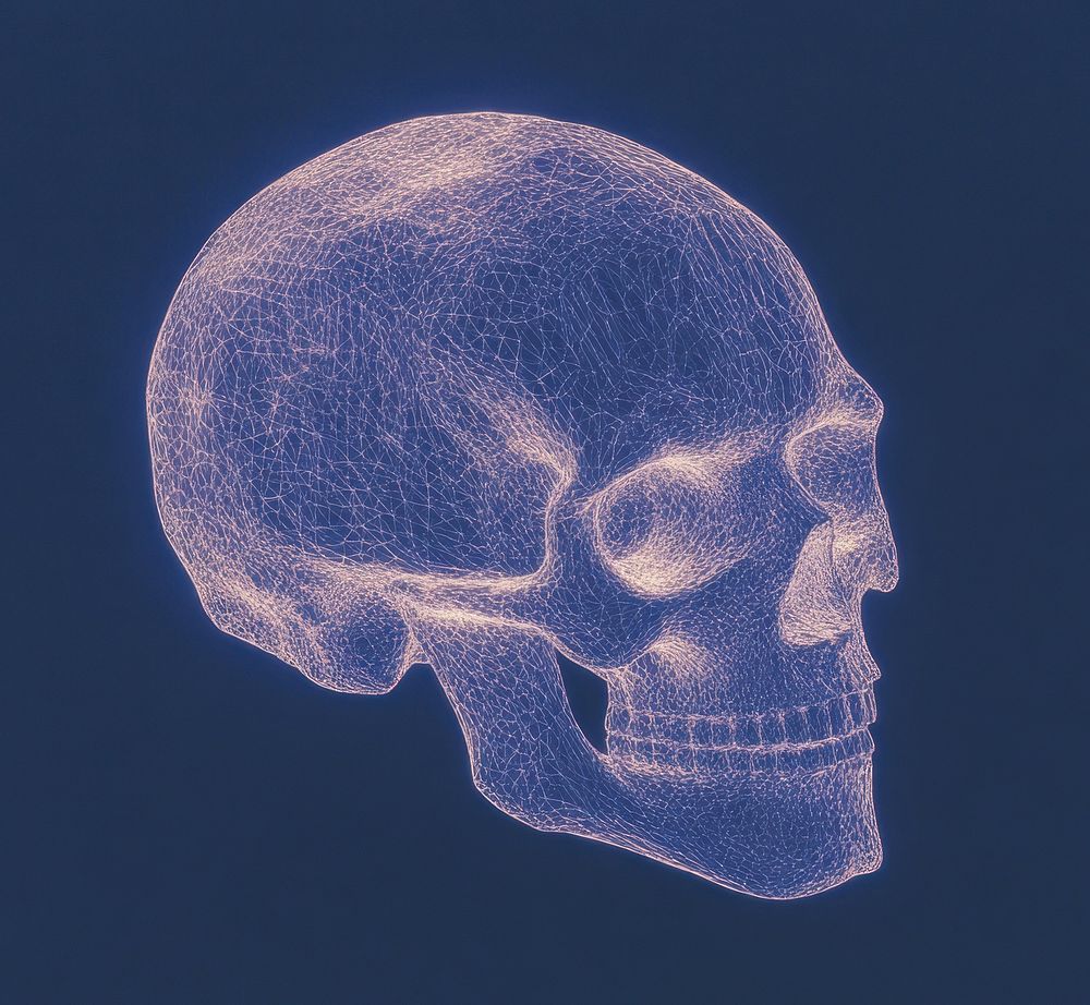 Human skull illustration 3d illustration | Free Photo Illustration ...