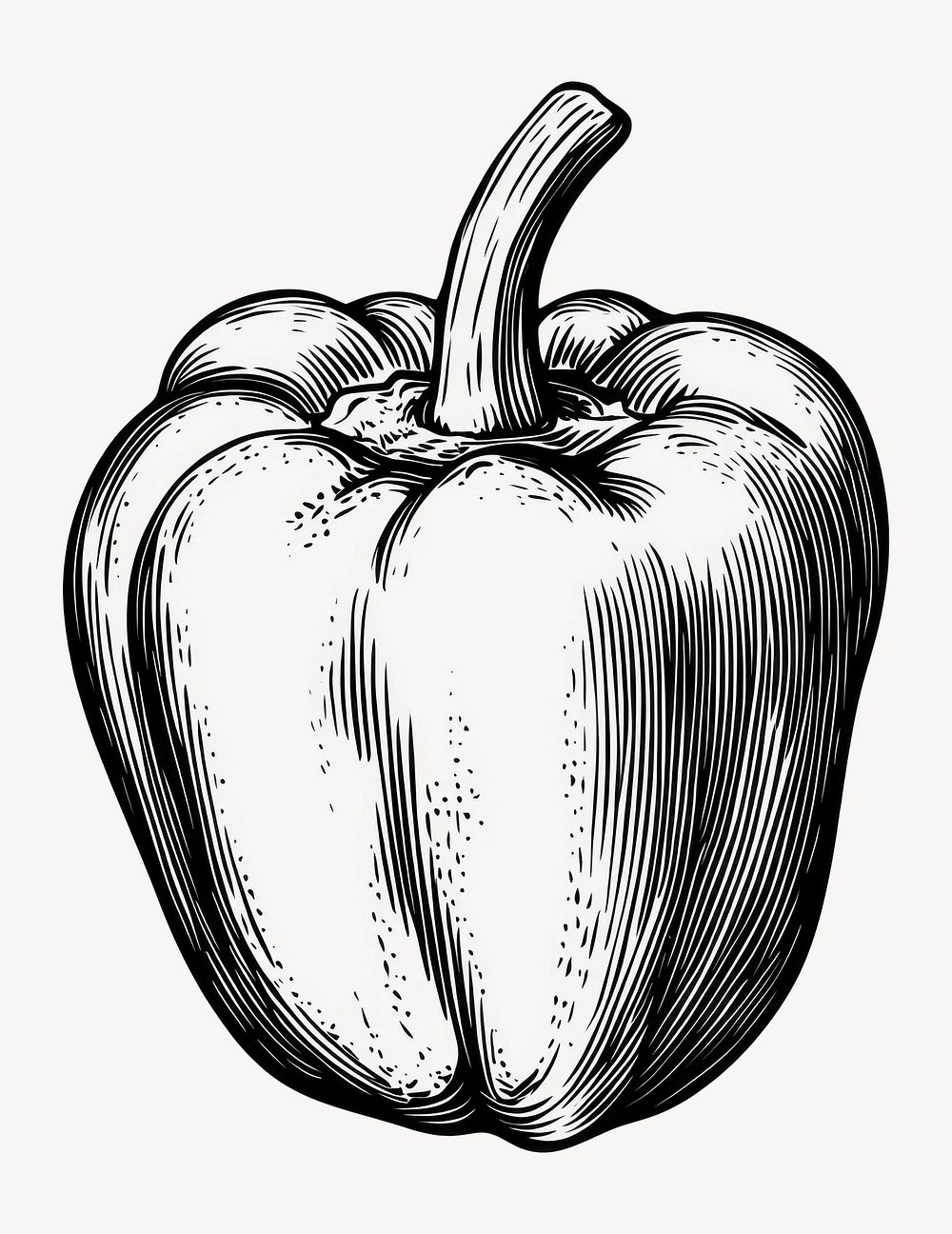 Bell pepper vegetable black white | Free Vector Illustration - rawpixel
