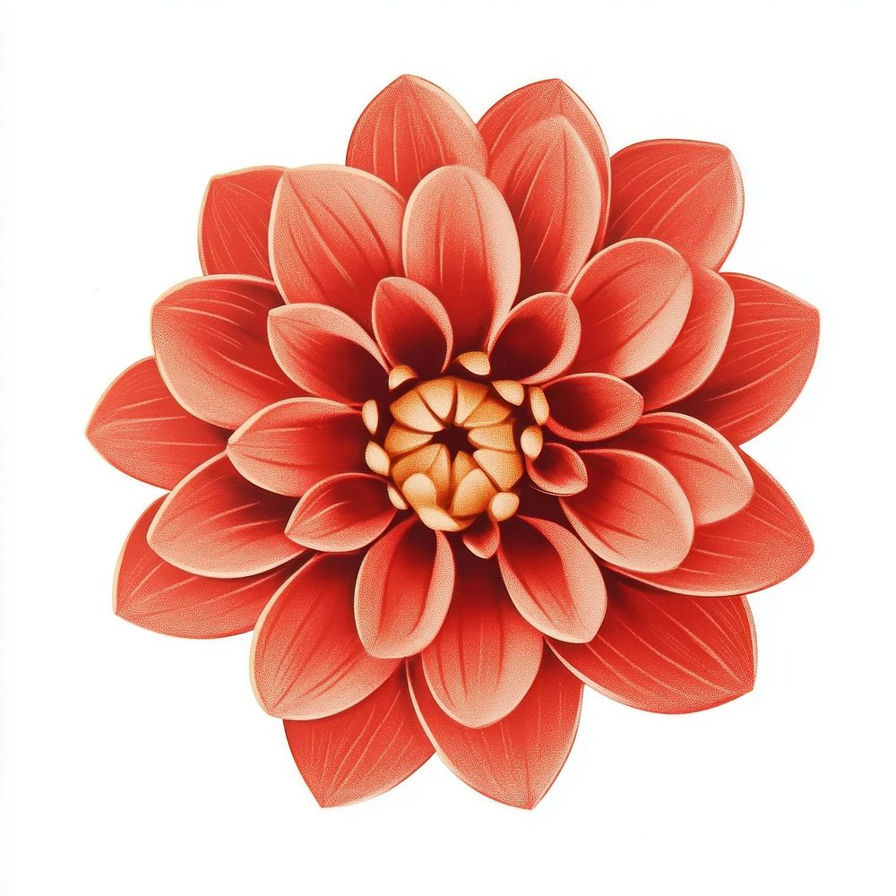 Dahlia flower icon illustration design | Free Photo Illustration - rawpixel