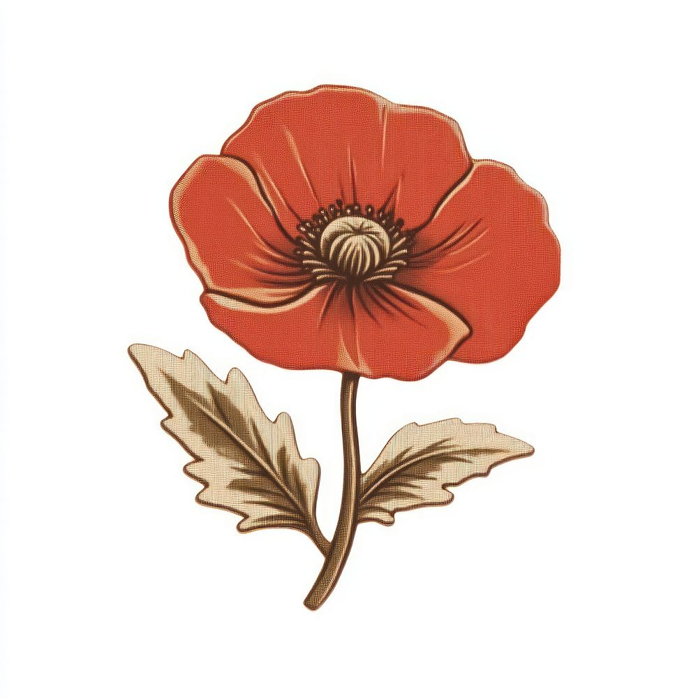 Poppy flower icon illustration design | Free Photo Illustration - rawpixel