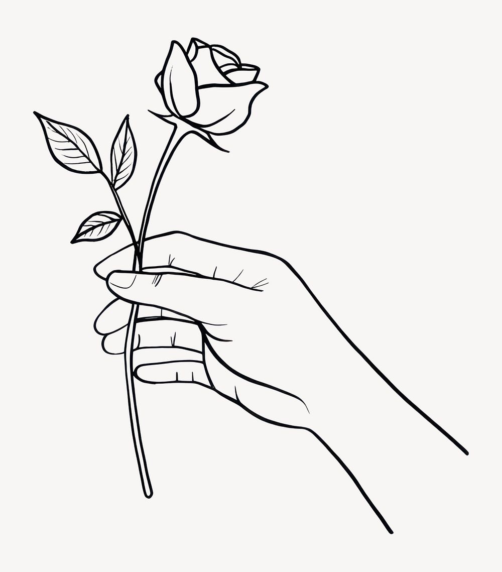 Hand holding rose drawing art | Free Vector - rawpixel