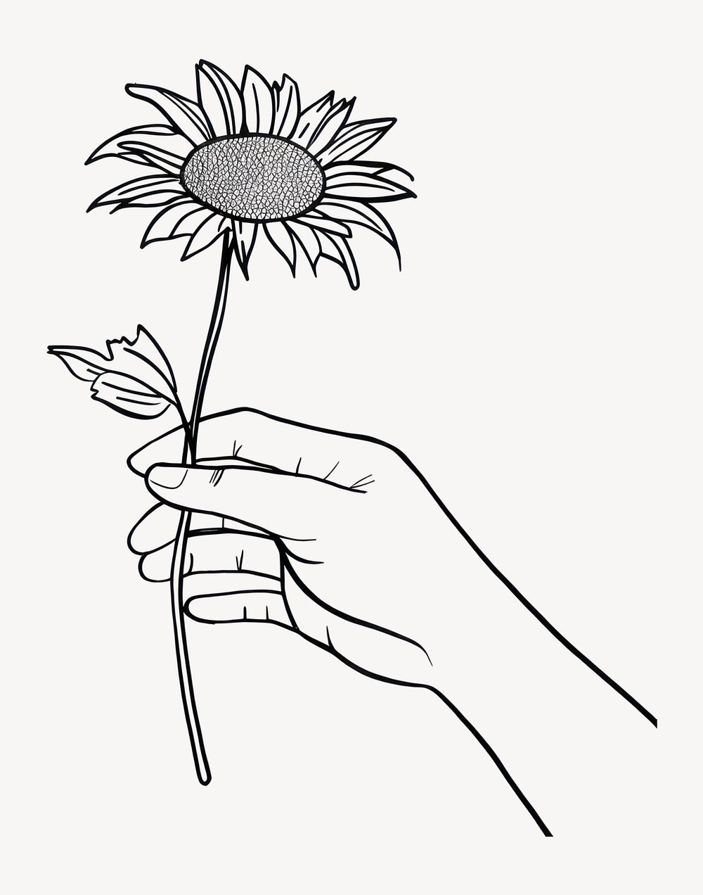 Hand holding sunflower drawing art | Free Vector - rawpixel