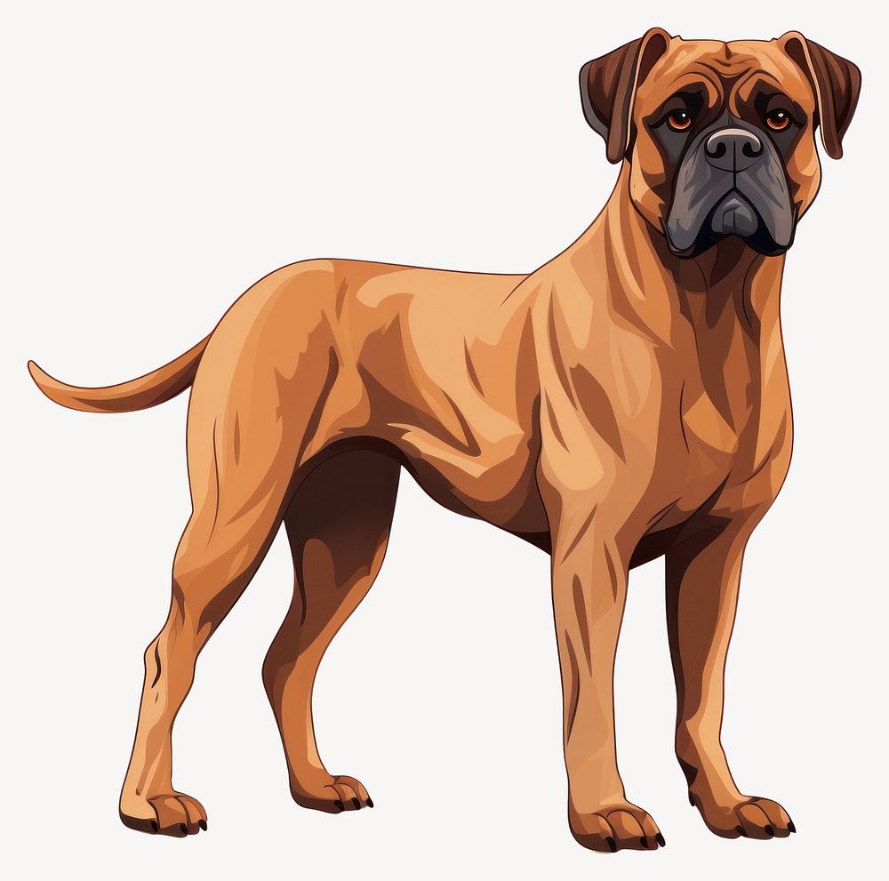Boerboel illustration animal dog vector | Free Vector - rawpixel