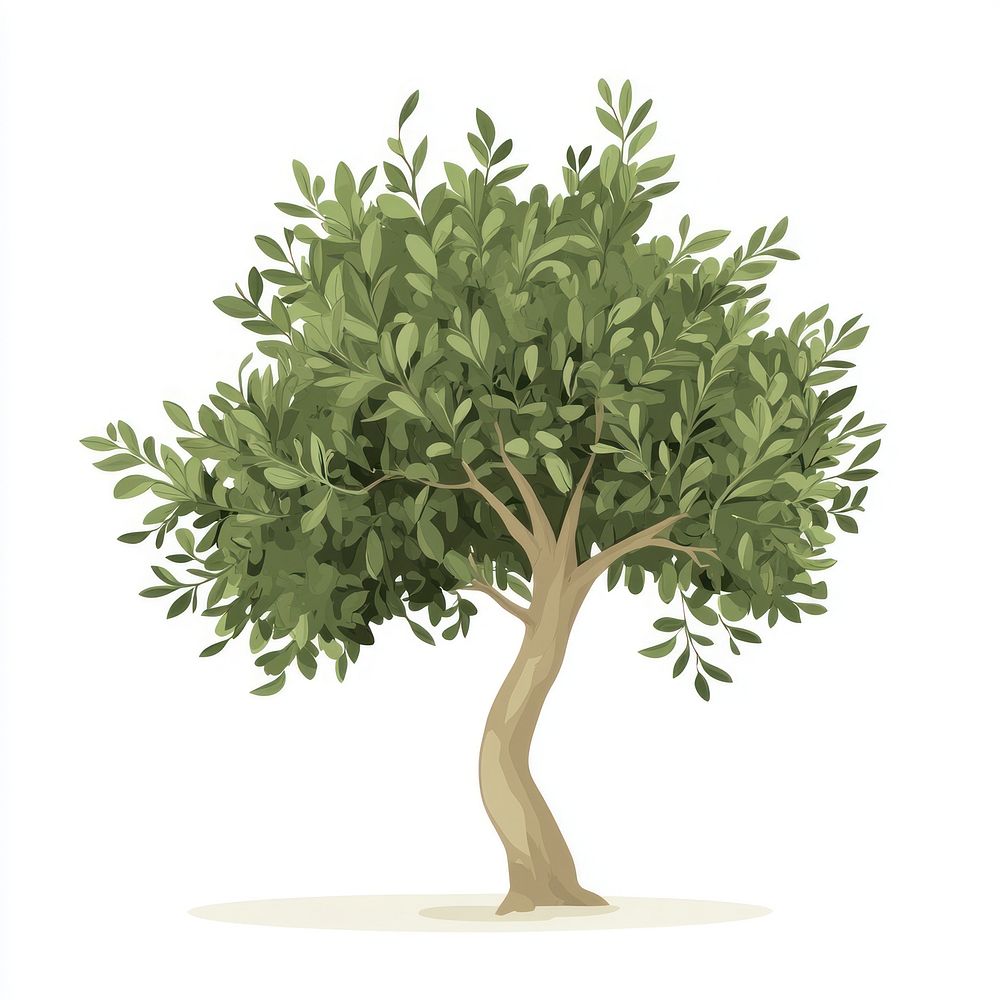 Olive tree art illustration plant | Free Photo Illustration - rawpixel