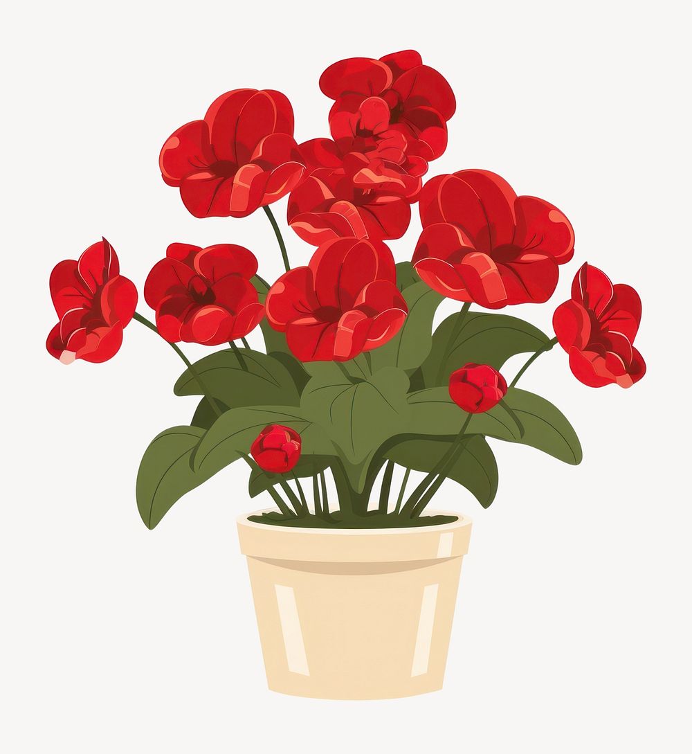 Potted plant deep red flowers | Free Vector - rawpixel