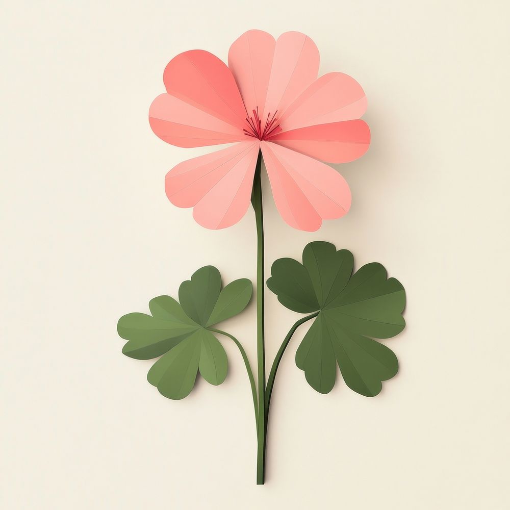 Geranium flower illustration paper leaf. | Free Photo - rawpixel