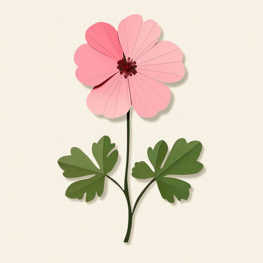 Geranium flower blossom leaves paper. | Free Photo - rawpixel