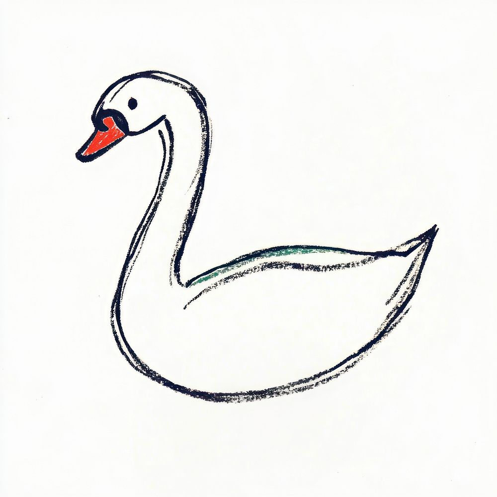 Swan illustration waterfowl drawing. | Free Photo Illustration - rawpixel