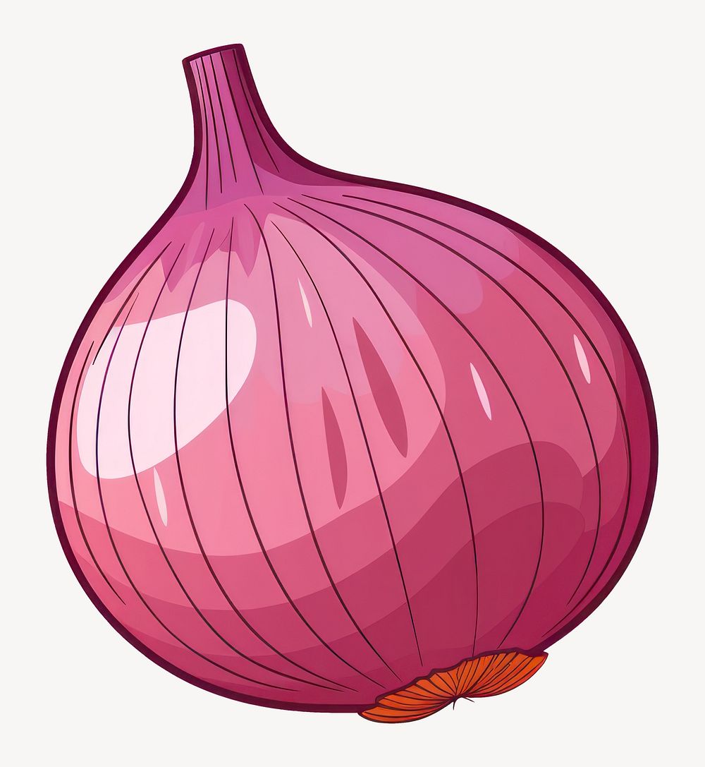 One red onion vector illustration | Free Vector - rawpixel