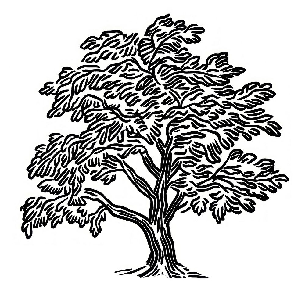 Maple tree drawing art sketch. | Free Photo Illustration - rawpixel