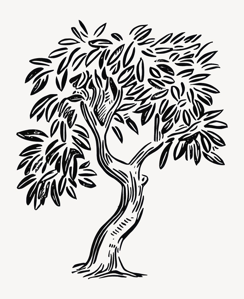 Orange tree drawing art sketch | Free Vector - rawpixel