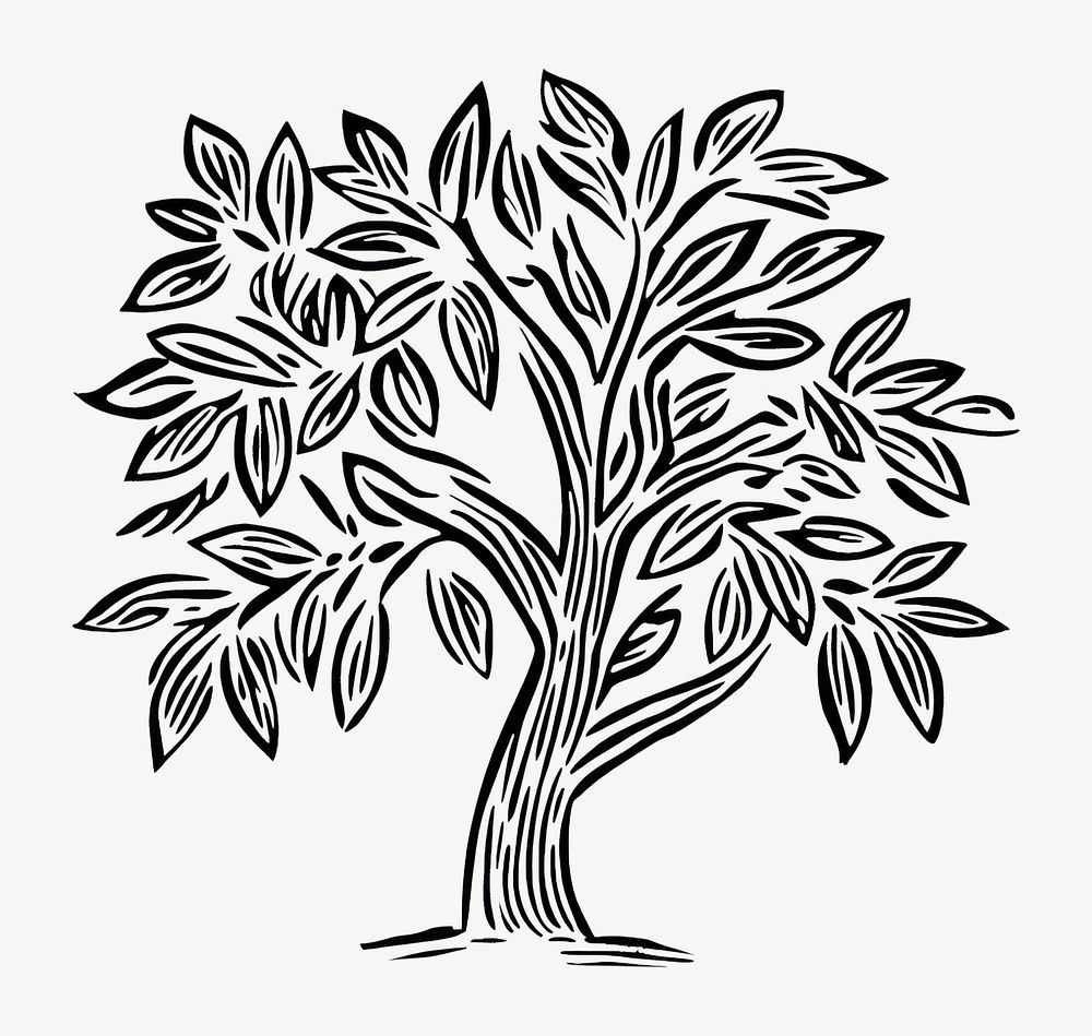 Bay laurel tree drawing white | Free Vector - rawpixel