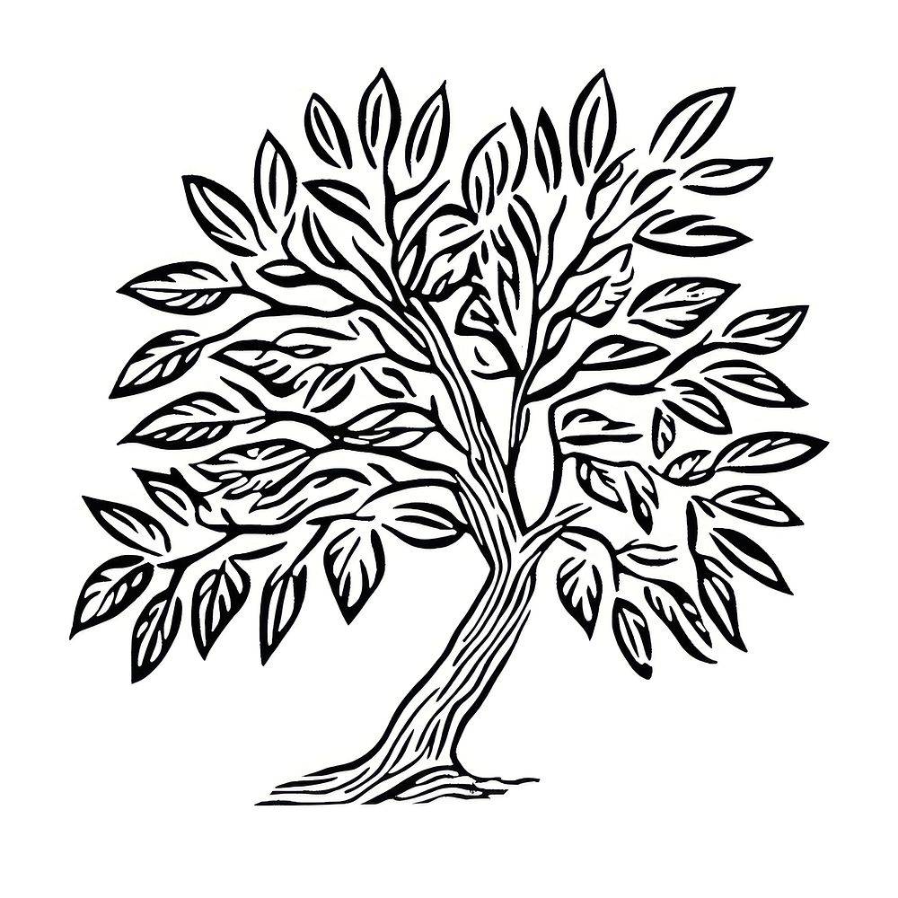 Bay laurel tree drawing art | Free Photo Illustration - rawpixel