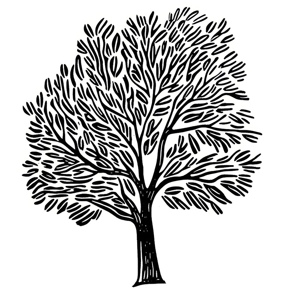 European ash tree drawing art | Free Photo Illustration - rawpixel