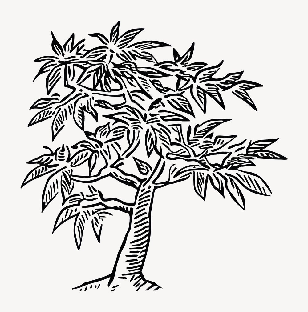 Japanese maple tree drawing art | Free Vector - rawpixel