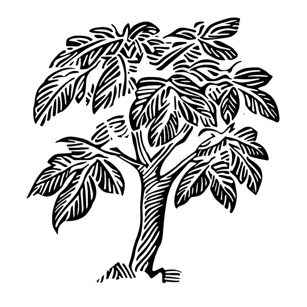 Papaya tree drawing art sketch. | Free Photo Illustration - rawpixel
