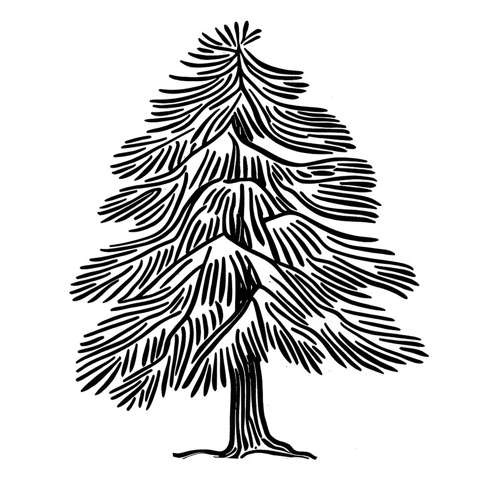 Pine tree drawing art sketch. | Free Photo Illustration - rawpixel
