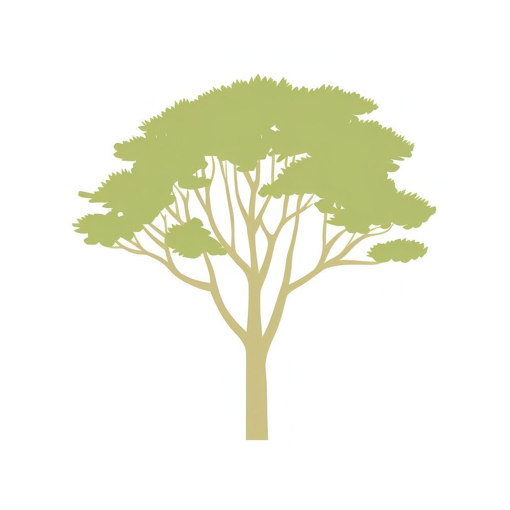 Acacia tree illustration simple minimalistic. | Free Photo Illustration ...