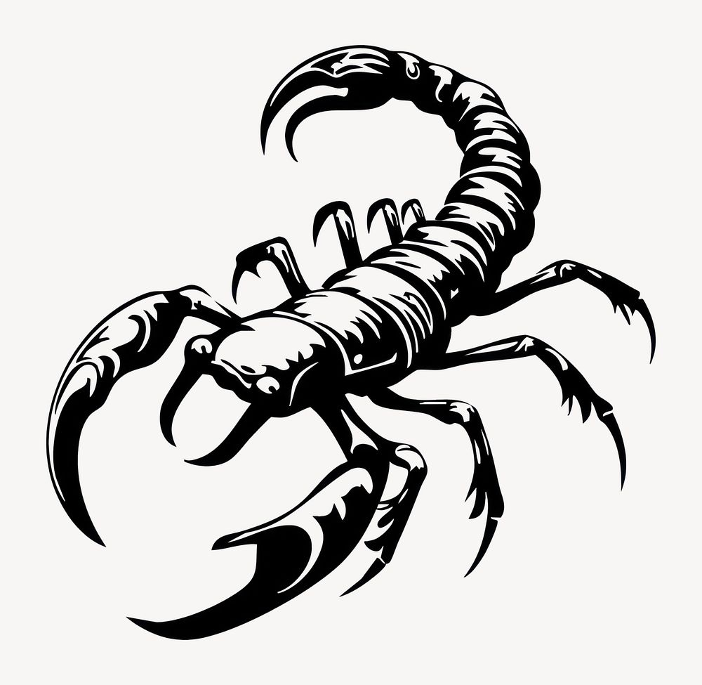 Simple Scorpion linear illustration scorpion | Free Vector - rawpixel