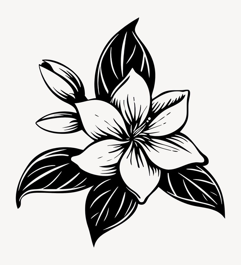 jasmine flower icon illustration black | Free Vector - rawpixel