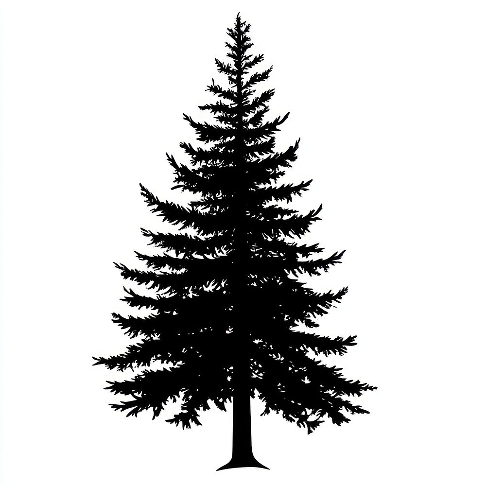 Evergreen tree silhouette illustration black. | Free Photo Illustration ...