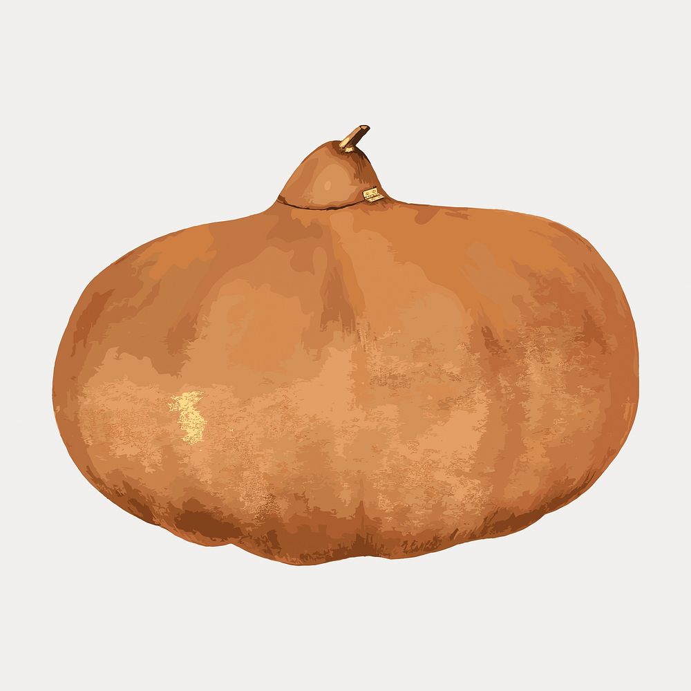 Gourd watercolor collage element illustration | Free Vector - rawpixel