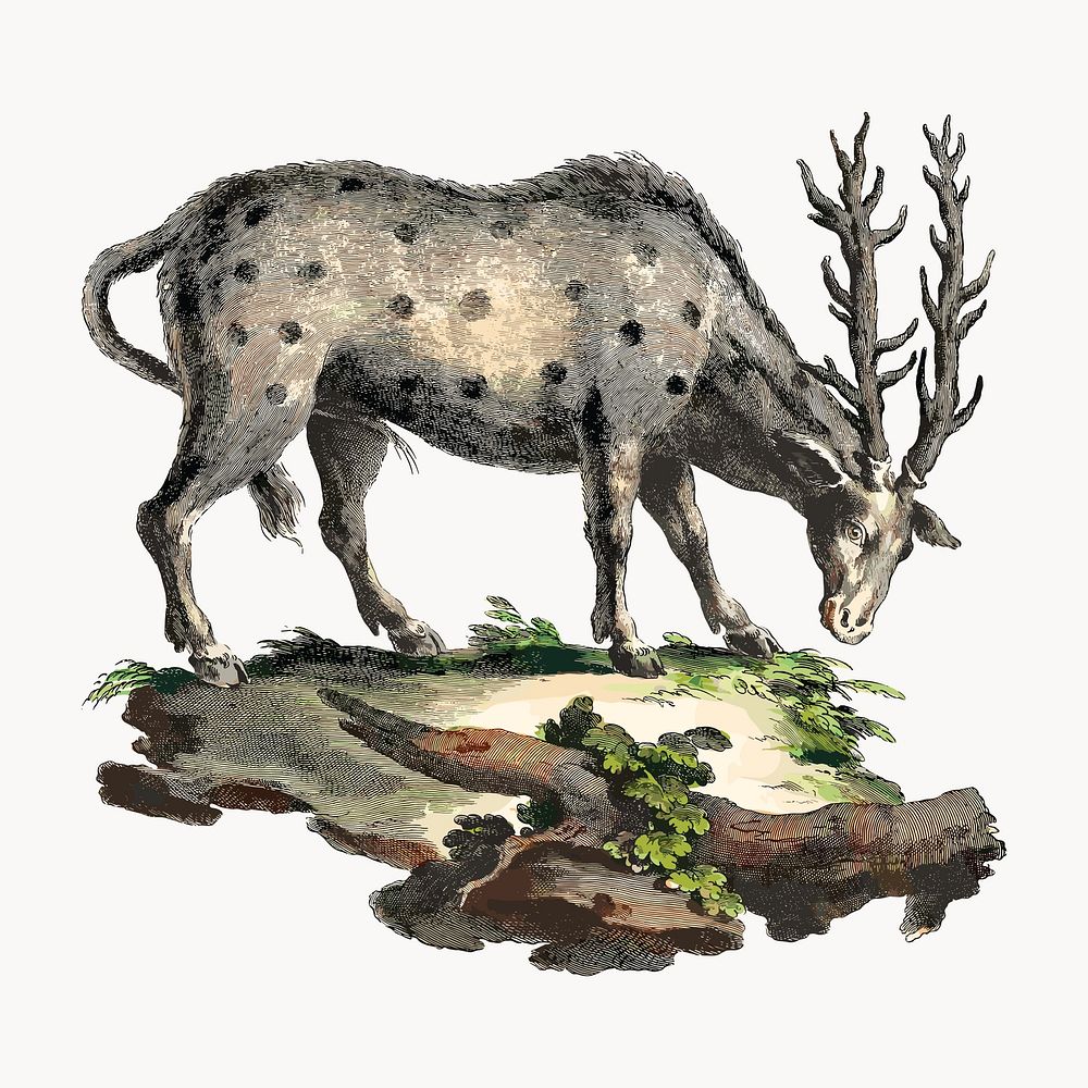 Tarand Descrizioni Degli Animali, vintage | Free Vector - rawpixel