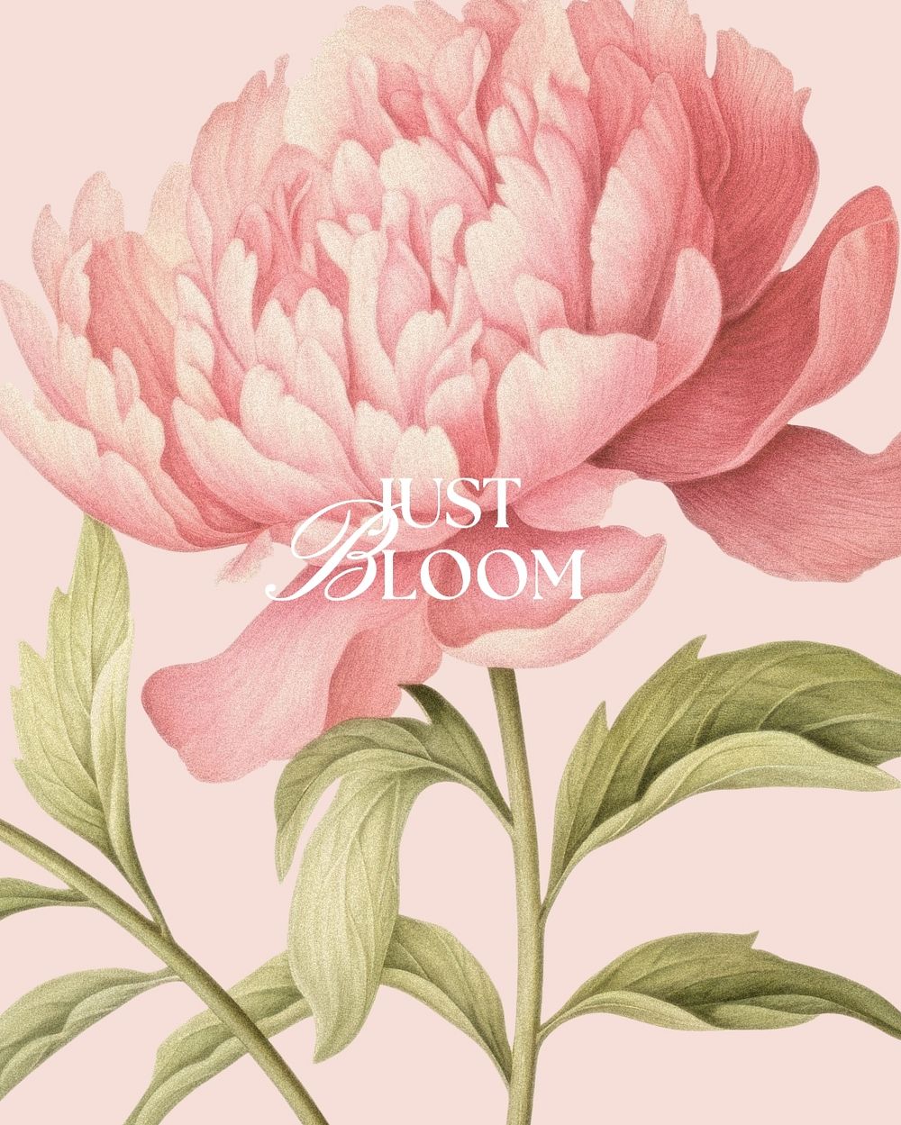 Bloom, positivity quote, Instagram post | Free Photo - rawpixel