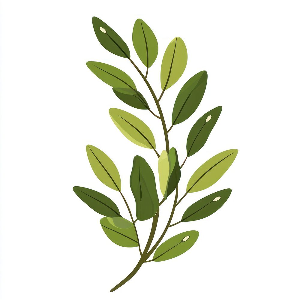 olive leaves clip art leaf | Free Photo Illustration - rawpixel