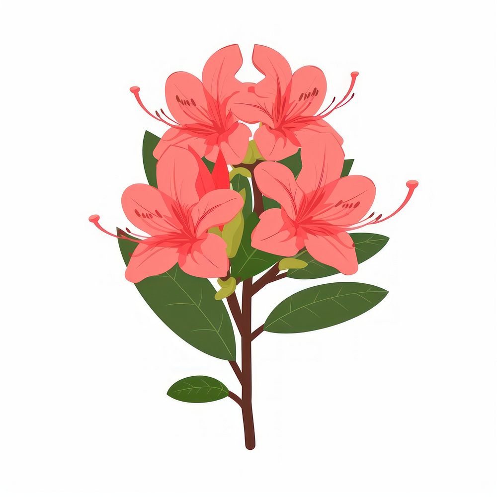 Azaleas flowers illustration leaf botanical. | Free Photo Illustration ...