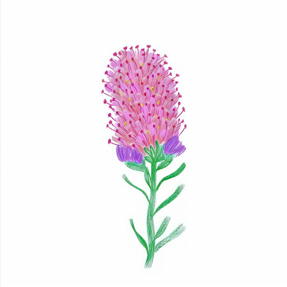 Oil pastel Cockscomb flower illustration | Free Photo Illustration ...