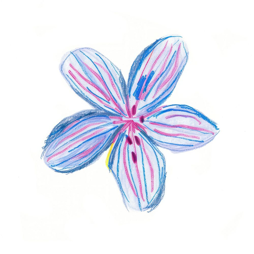 Oil pastel Veronica flower illustration | Free Photo Illustration ...