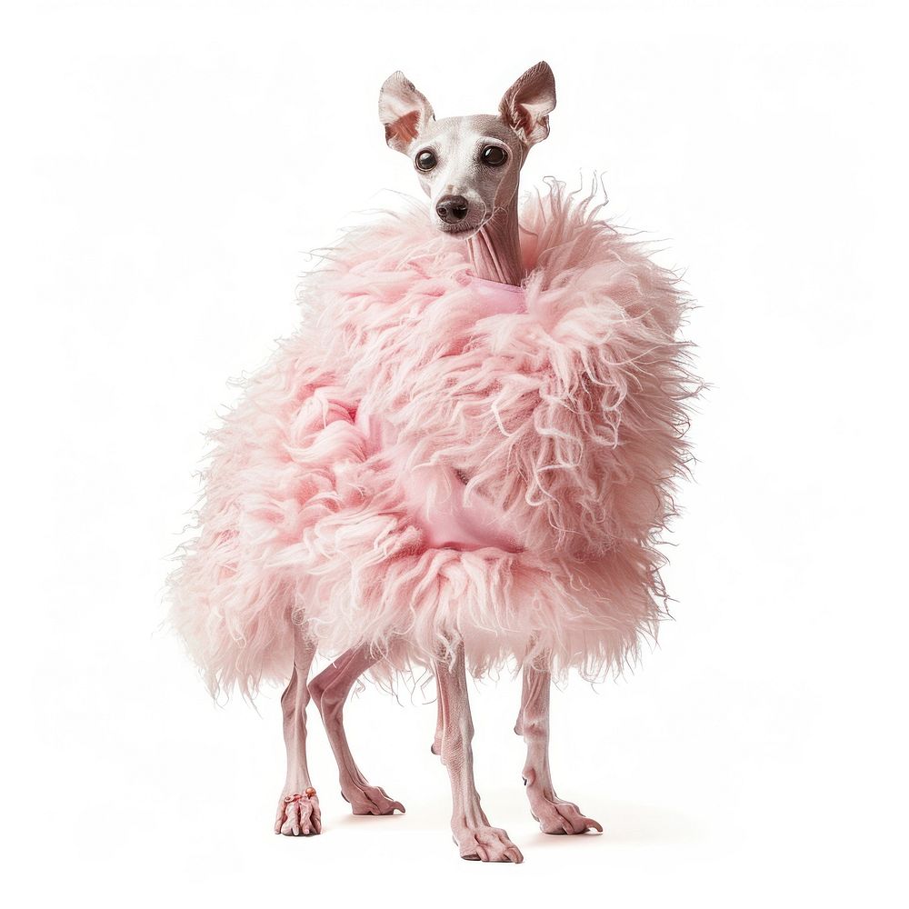 Images+studio Shadow Images | Free Photos, PNG Stickers, Wallpapers ...