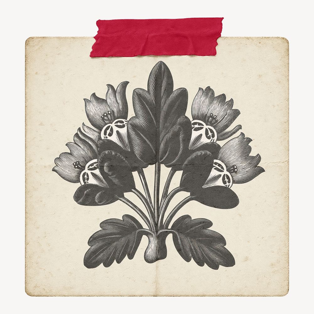 Paper Notes Design Color Images | Free Photos, PNG Stickers, Wallpapers ...