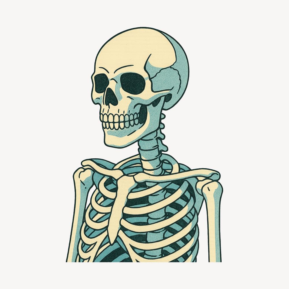 Human Outline Study Person Images | Free Photos, PNG Stickers ...