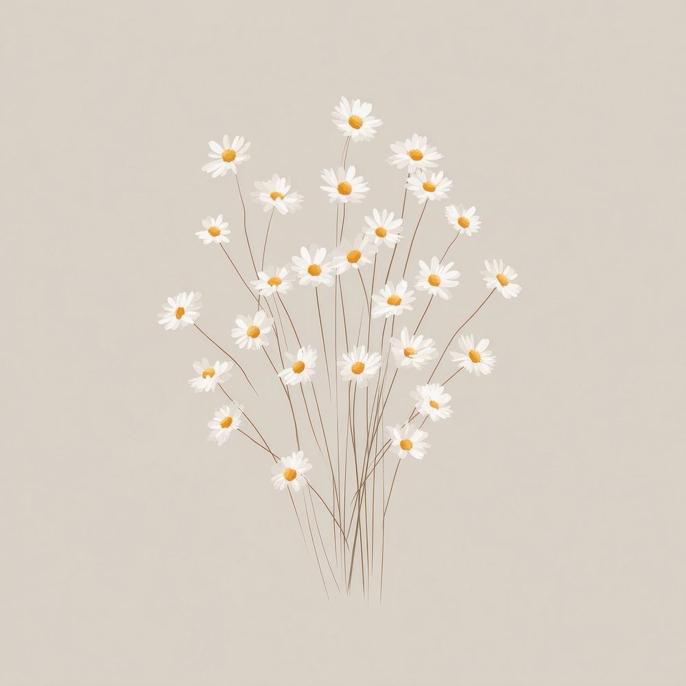 Small+beige+art Background Images | Free Photos, PNG Stickers ...