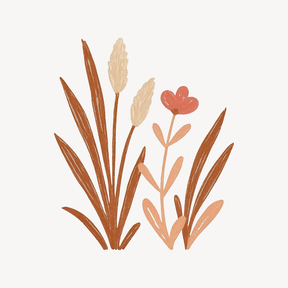 Grass Elements Nature Flowers Shadow Images | Free Photos, PNG Stickers ...