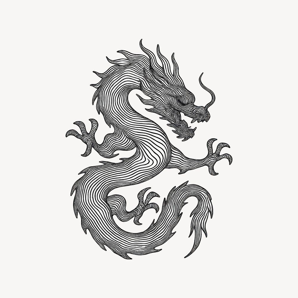 Dragon Black And White Chinese Design Shadow Images | Free Photos, PNG ...