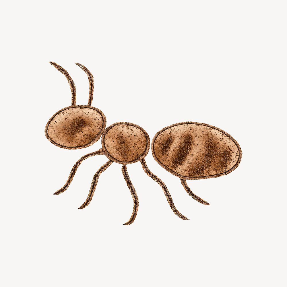 Hand+ants Texture Images | Free Photos, PNG Stickers, Wallpapers ...