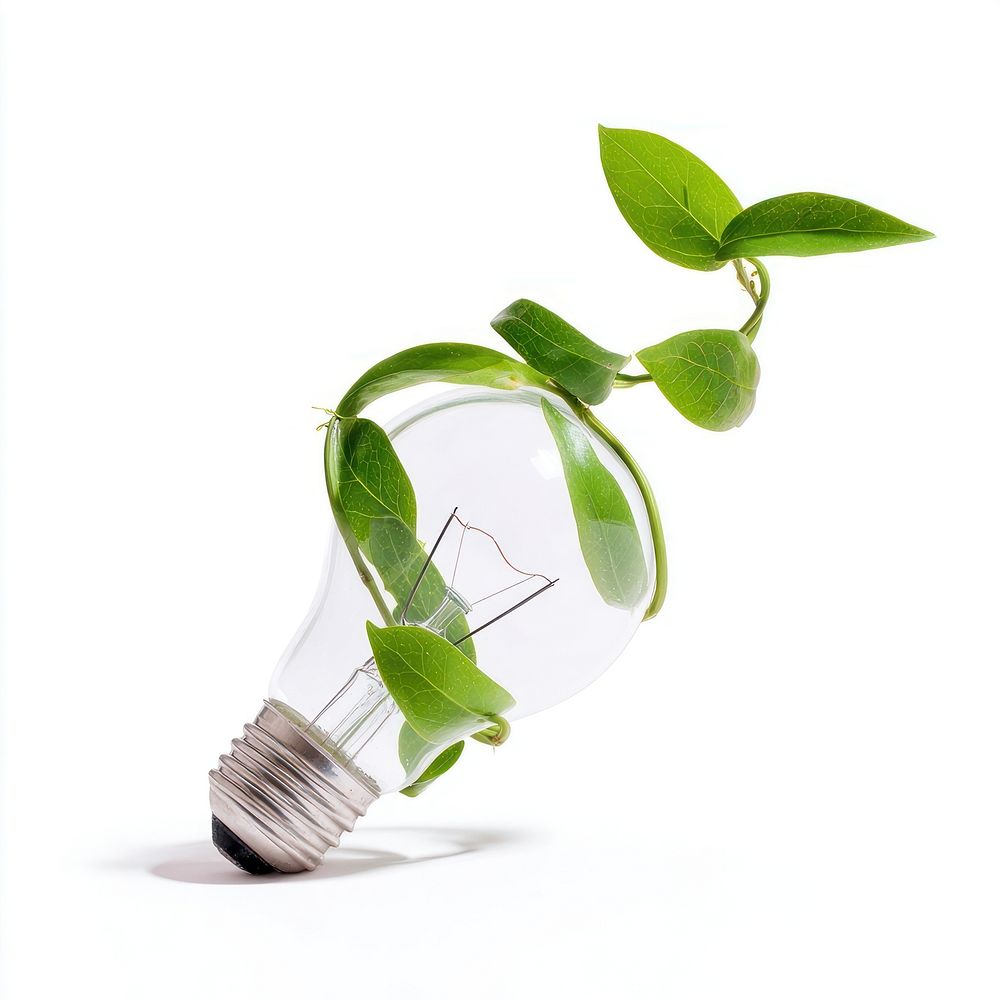 Resources PNG Texture Images | Free Photos, PNG Stickers, Wallpapers ...