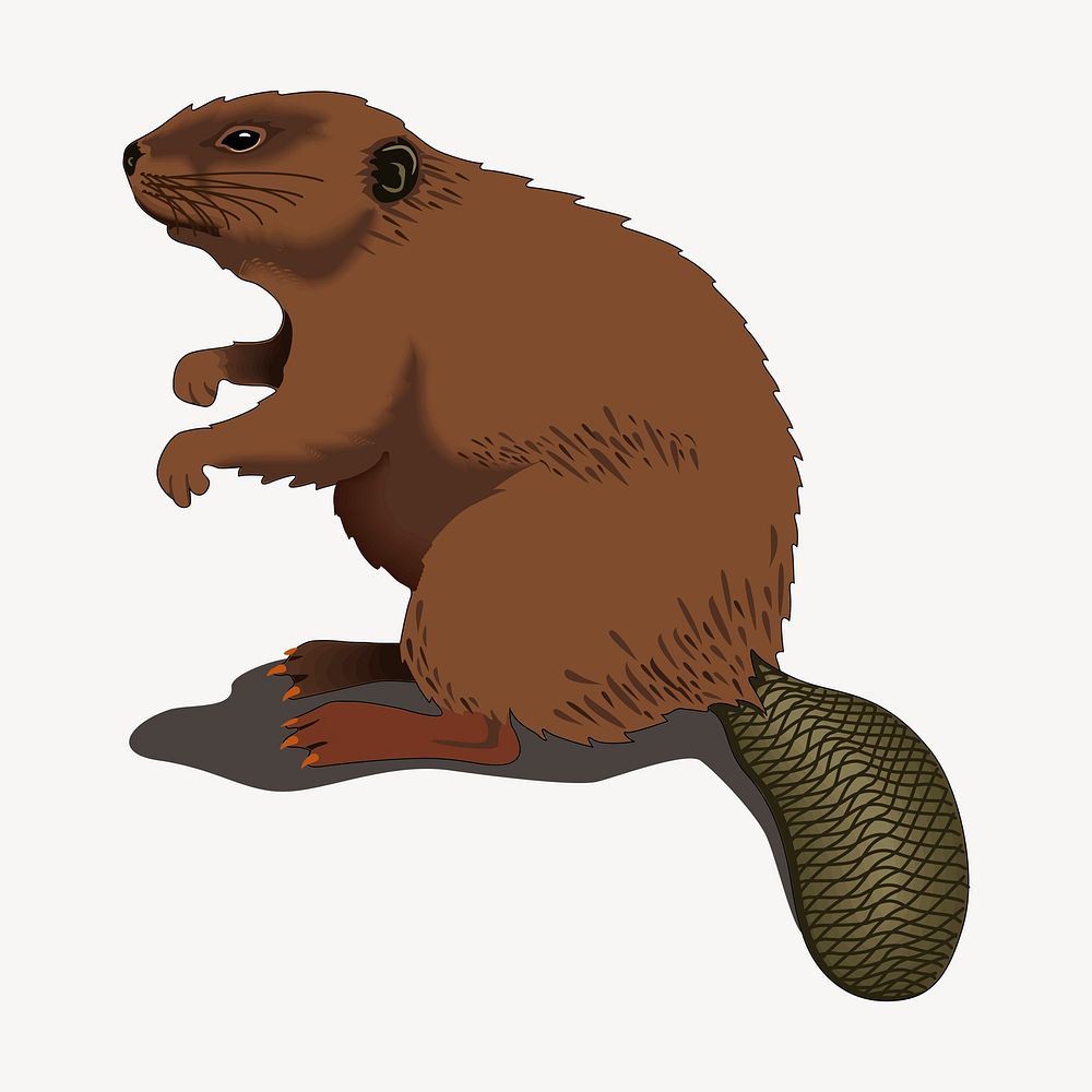 Beaver clipart, animal illustration vector | Free Vector - rawpixel