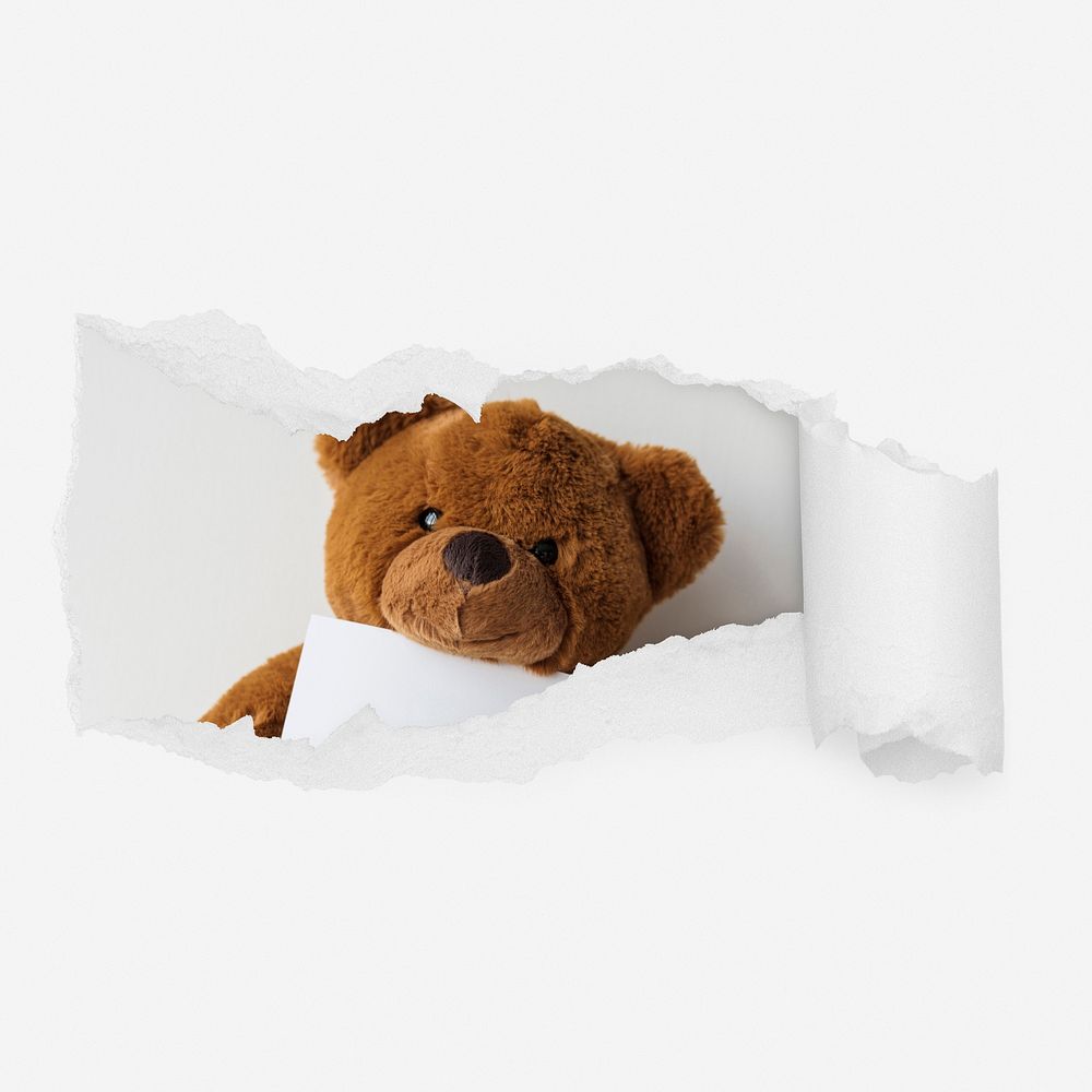 Teddy bear ripped paper reveal, | Free Photo - rawpixel