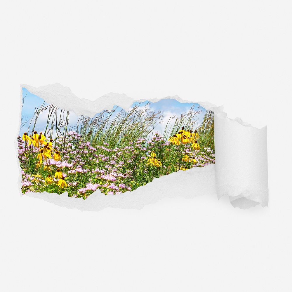 Spring flower field ripped paper | Free Photo - rawpixel