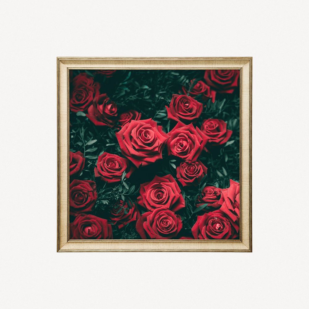 Red rose framed image | Free Photo - rawpixel