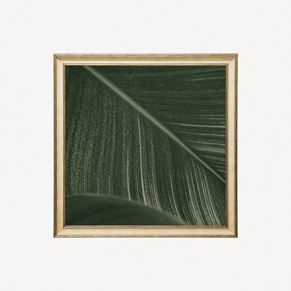 Leaf texture framed image | Free Photo - rawpixel