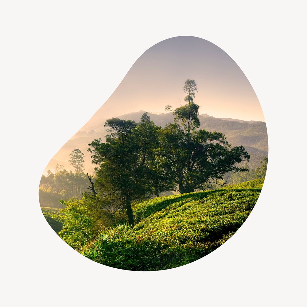 Beautiful nature badge, environment photo | Free Photo - rawpixel