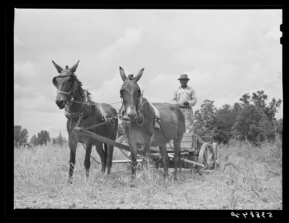 [Untitled photo, possibly related to: | Free Photo - rawpixel