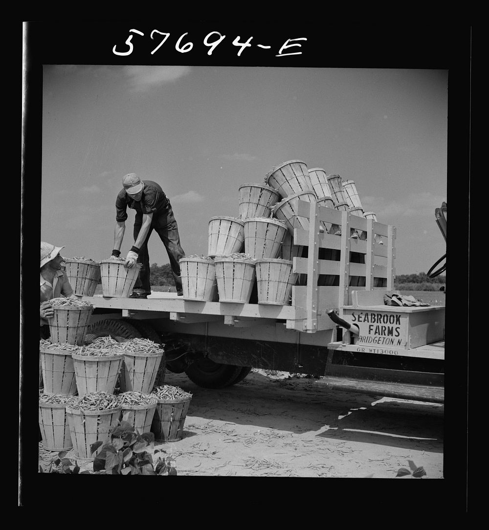 Loading truck beans picked day | Free Photo - rawpixel