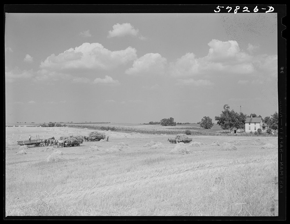 Wagons hauling wheat which has | Free Photo - rawpixel