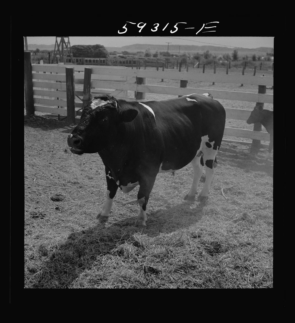 [Untitled photo, possibly related to: | Free Photo - rawpixel